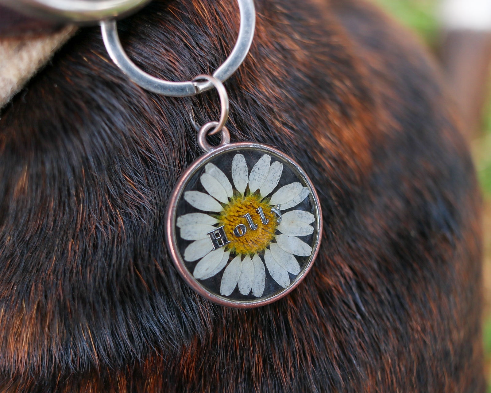 Bezel Resin Tags – Boris Bandanas
